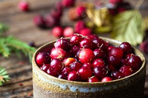 Berries From Alaska – Alaska Wild Berry Products