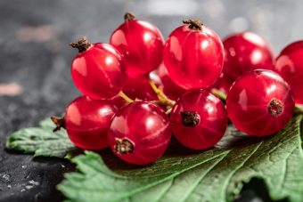 Berries From Alaska – Alaska Wild Berry Products