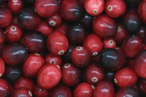 Berries From Alaska – Alaska Wild Berry Products